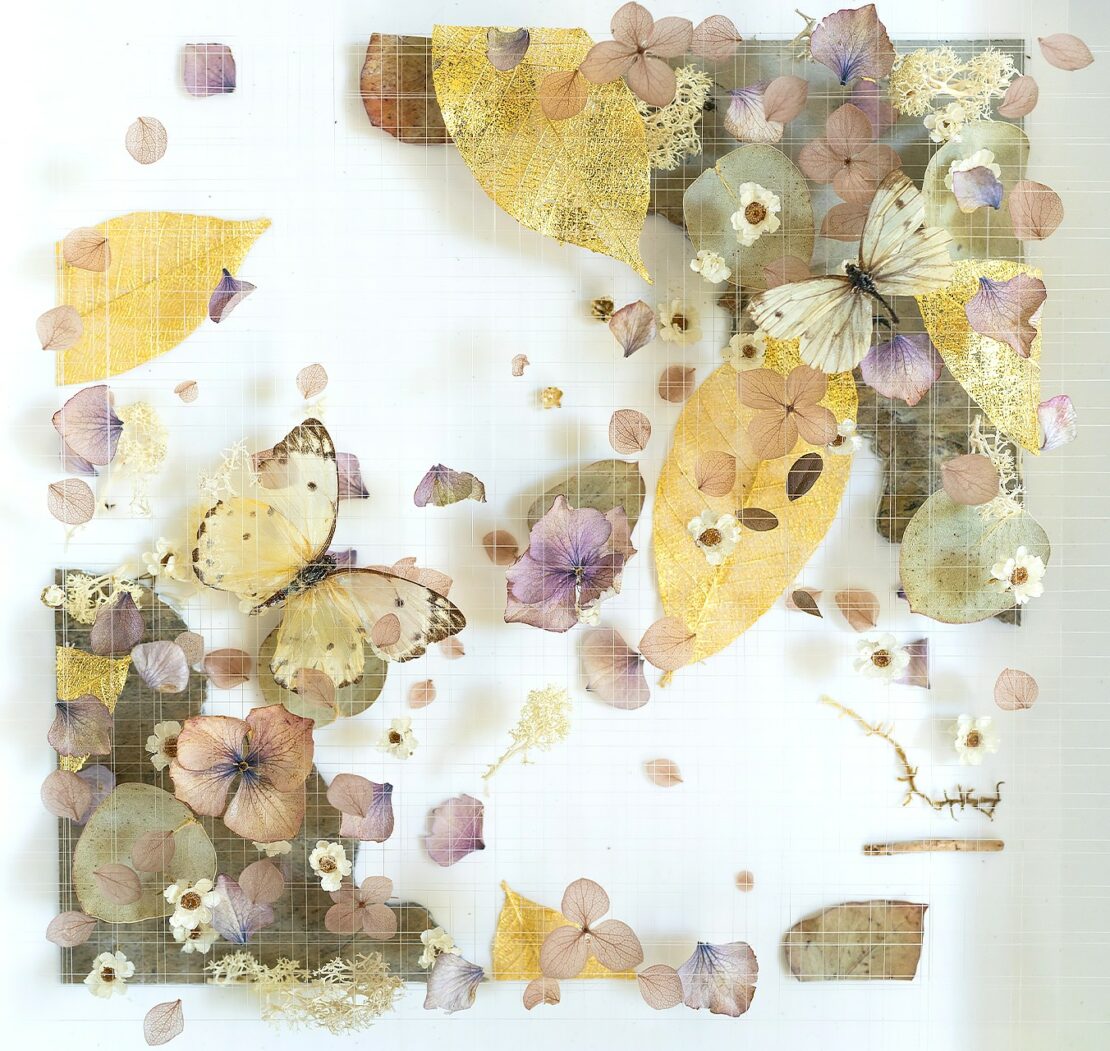 Anna MASTERS - Biographie et oeuvres disponibles | Galeries Bartoux