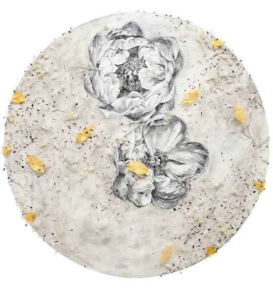 ANNA MASTERS- Biography and available artworks | Galeries Bartoux