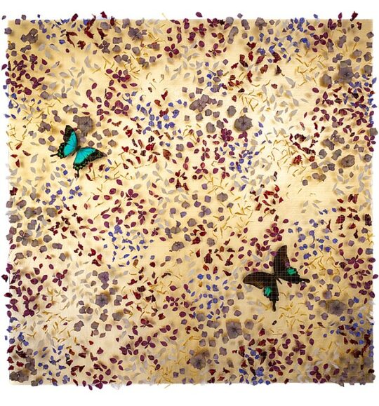 ANNA MASTERS- Biography and available artworks | Galeries Bartoux