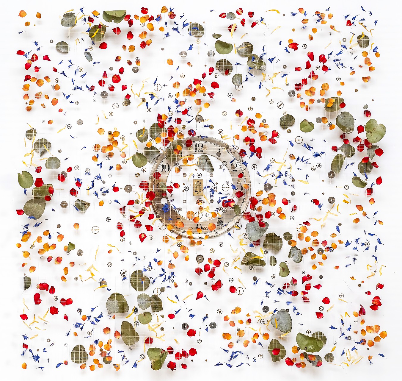 ANNA MASTERS- Biography and available artworks | Galeries Bartoux