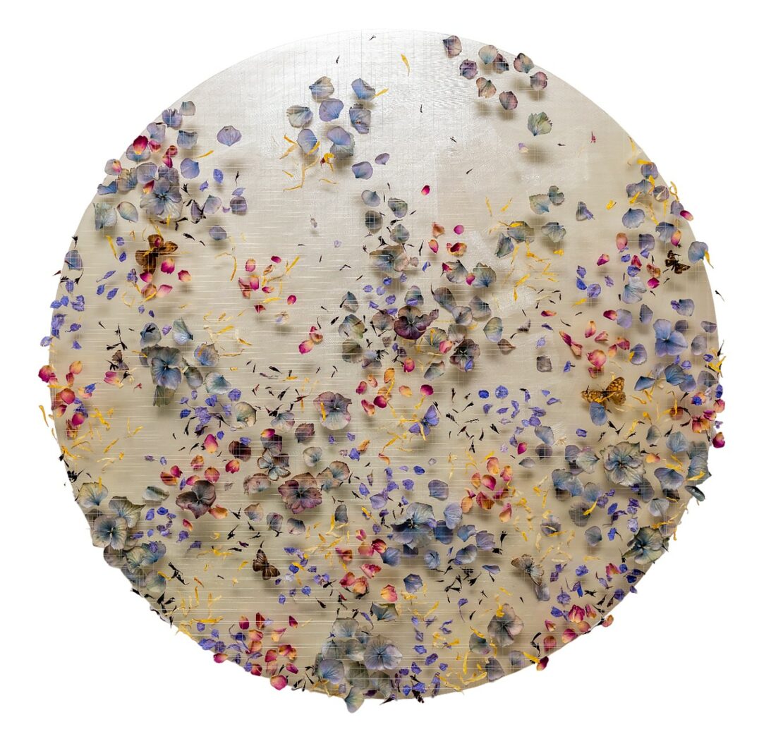 ANNA MASTERS- Biography and available artworks | Galeries Bartoux