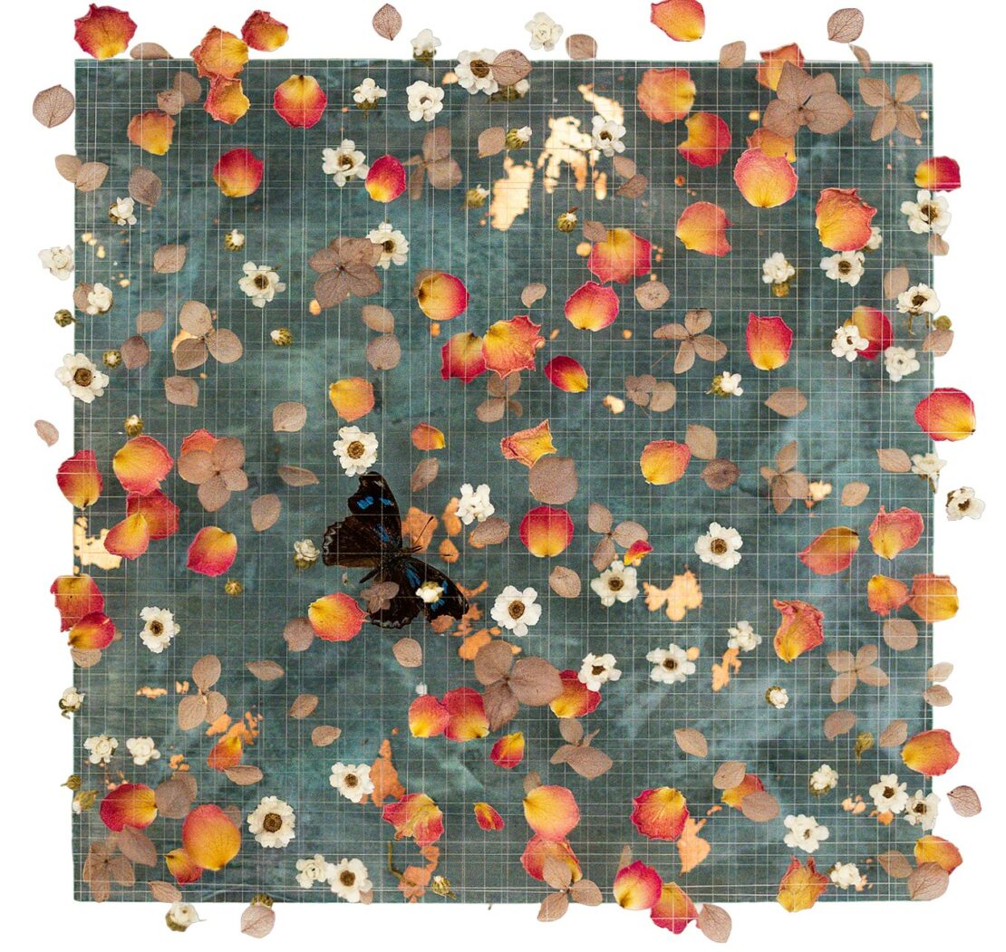 ANNA MASTERS- Biography and available artworks | Galeries Bartoux