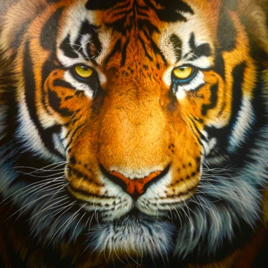 Painters | Galeries Bartoux